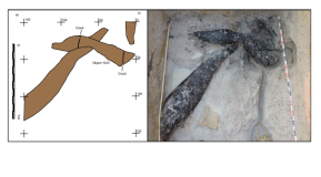 World's oldest known wooden structure found in Zambia | Popular Science