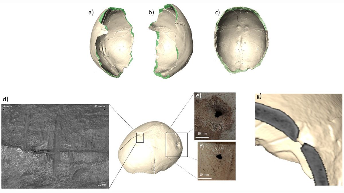 Ancient 'skull-cup' discovered in a burial cave in Spain | Popular Science