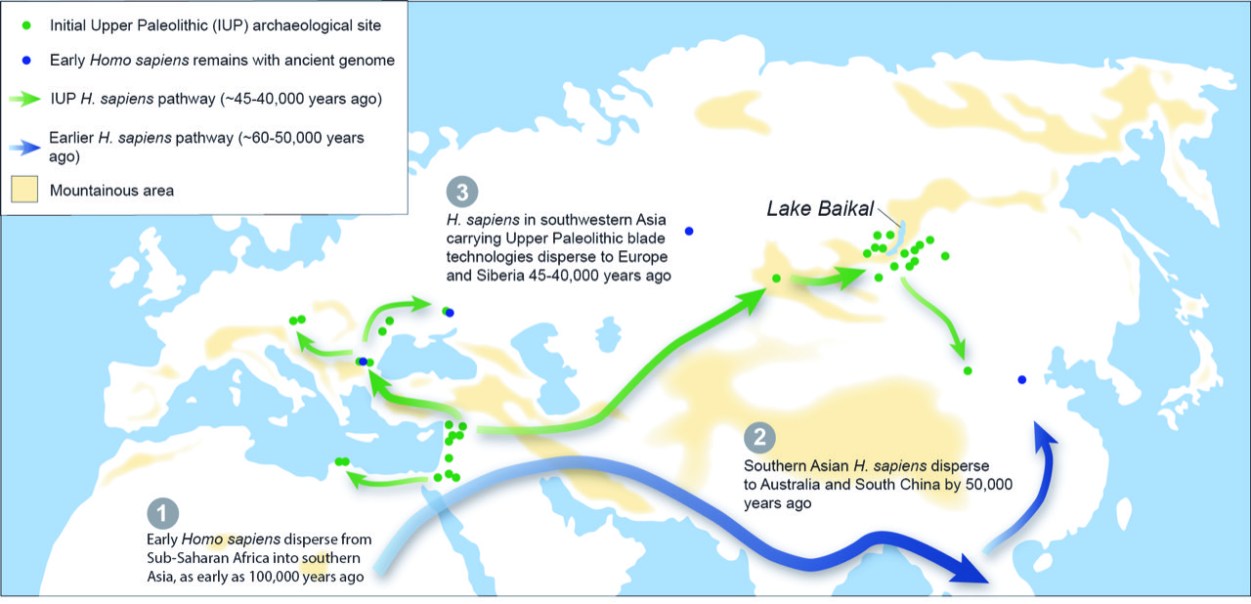 What can pollen tell us about early human migration? | Popular Science