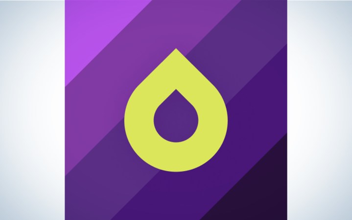 The best language learning software of 2024 | Popular Science