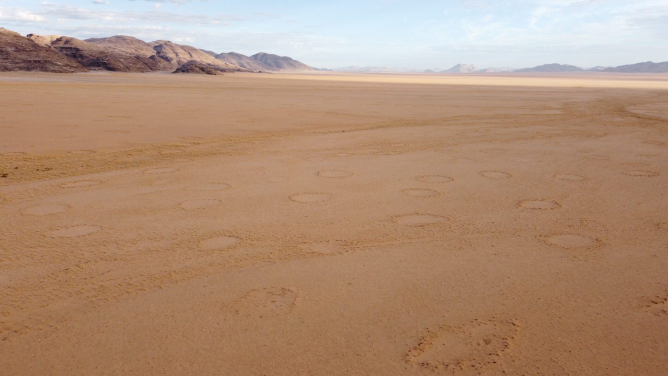 'Fairy circles' may be more common than once believed | Popular Science