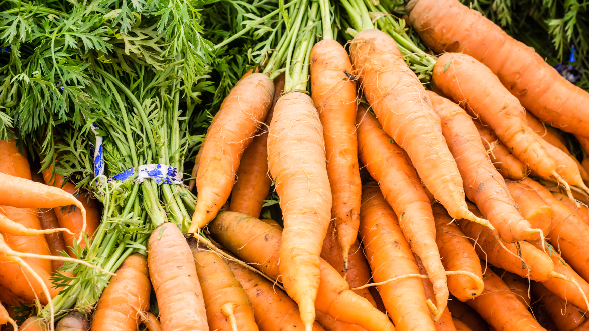 Carrots are orange because of three specific genes | Popular Science