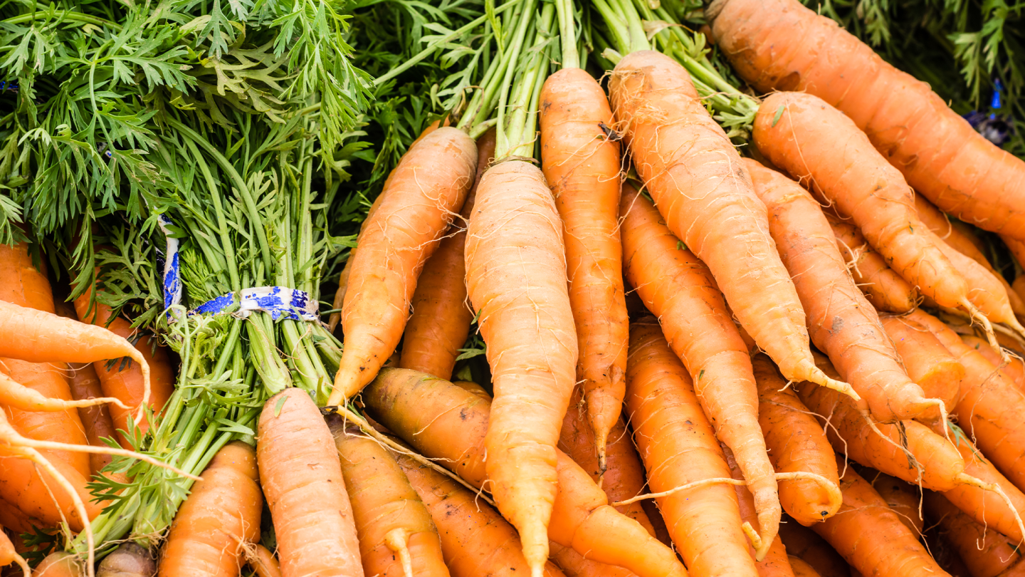 Carrots are orange because of three specific genes | Popular Science