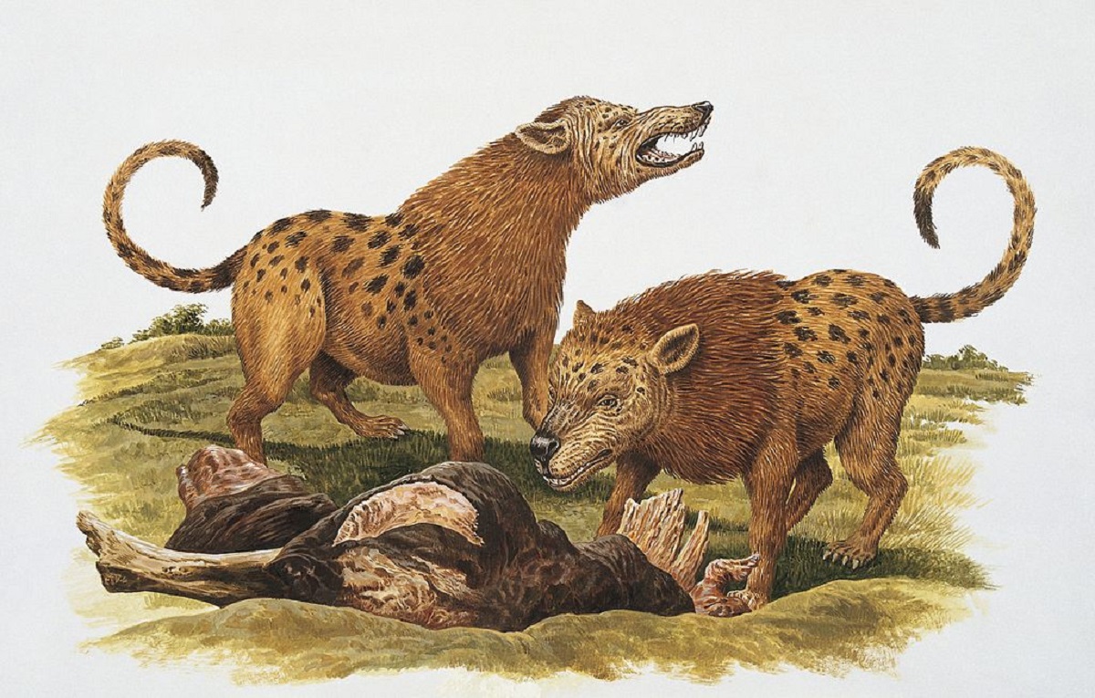 4 facts on the Age of the Dinosaurs | Popular Science