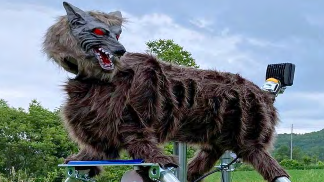 Robotic wolves are guarding Japanese towns against bears | Popular Science