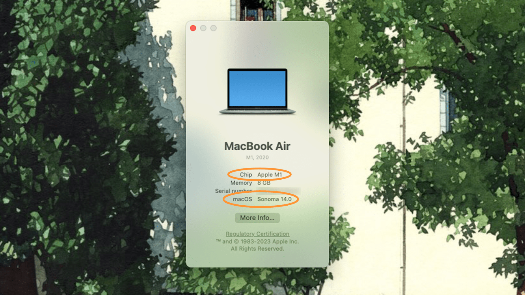 How to use hand gesture reactions on macOS Sonoma | Popular Science
