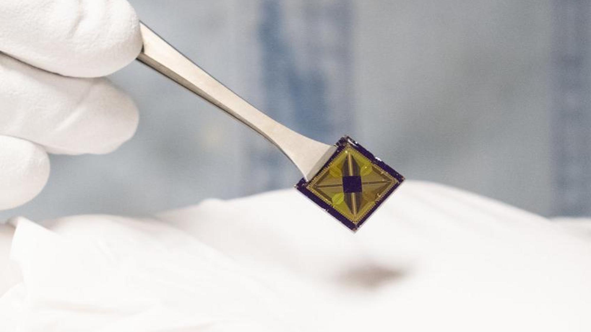 'Electronic tongue' made of transistors and sensors can taste food ...