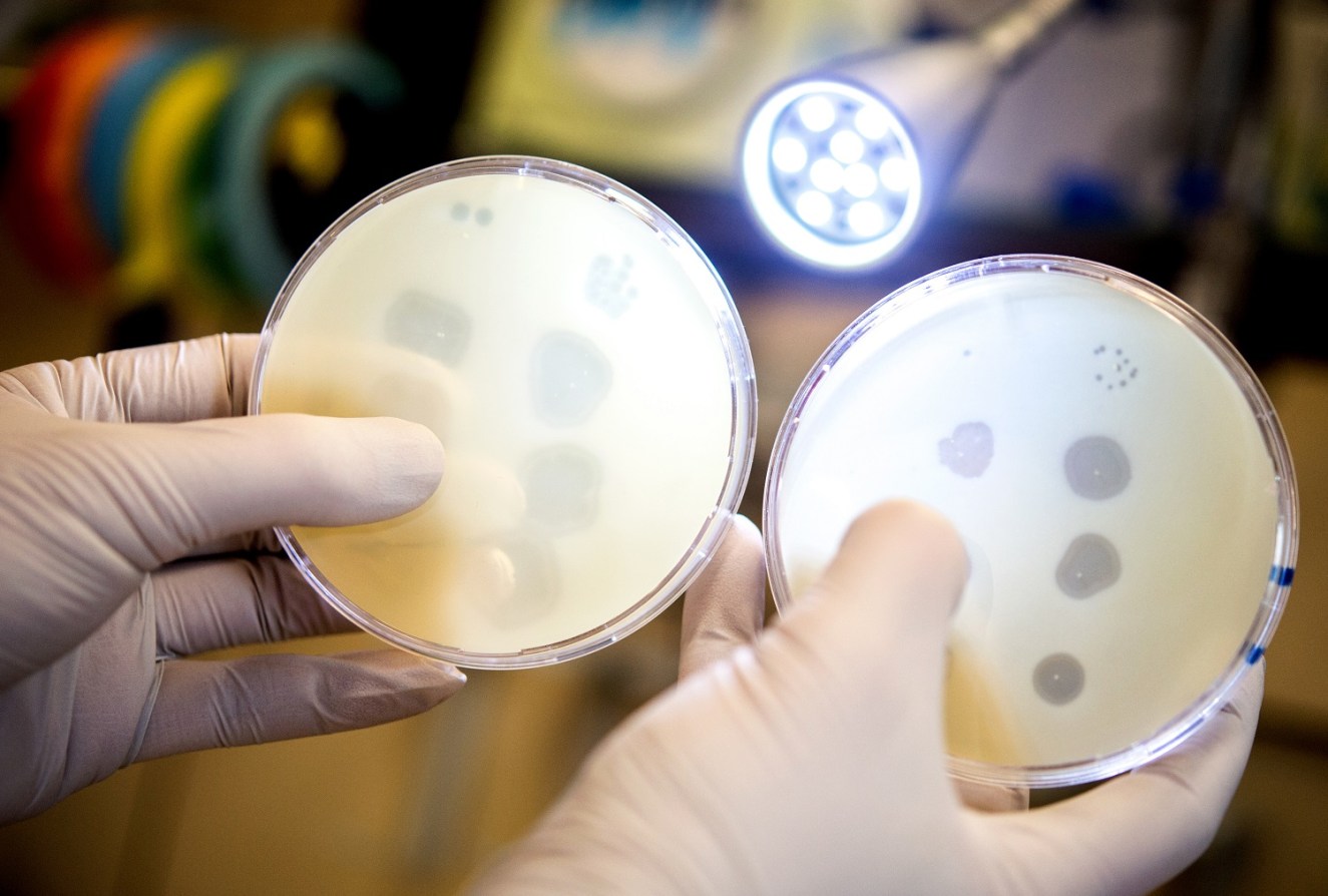 Can phage therapy cure antibiotic-resistant infections? | Popular Science