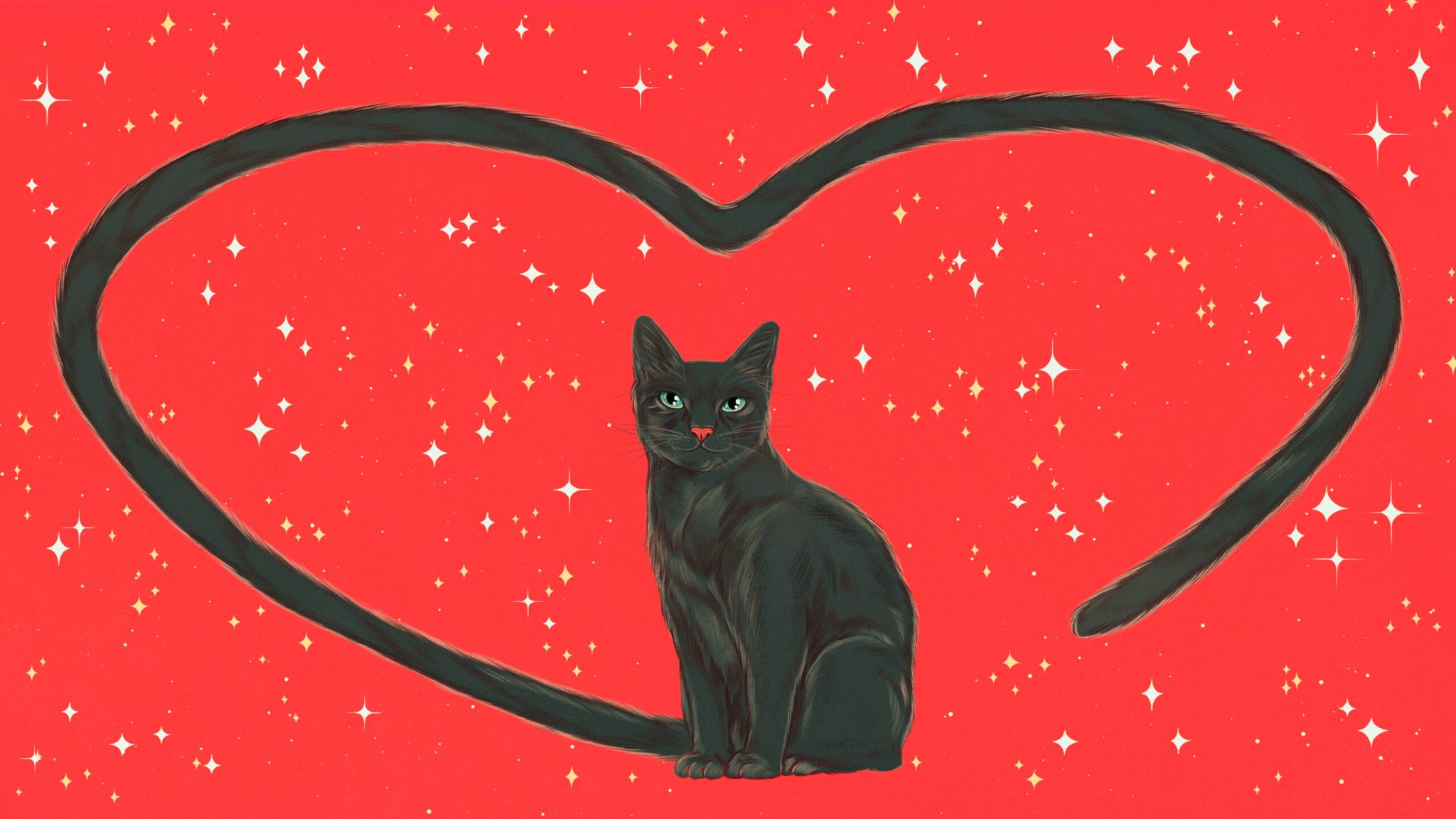 The cat tail-up position, explained | Popular Science
