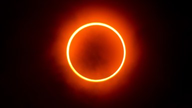 NASA wants you to record crickets during April's solar eclipse ...