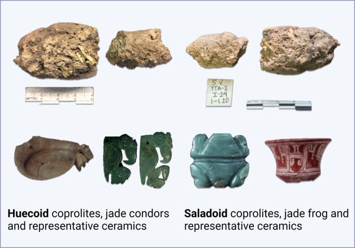 Mummified poop reveals a diverse ancient Caribbean diet | Popular Science