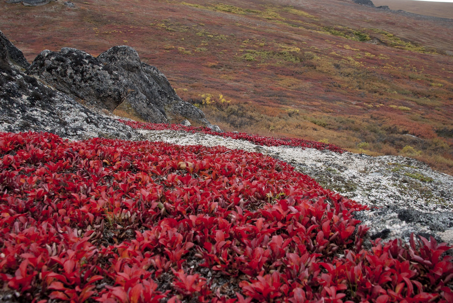 Fall foliage photos from around the US | Popular Science