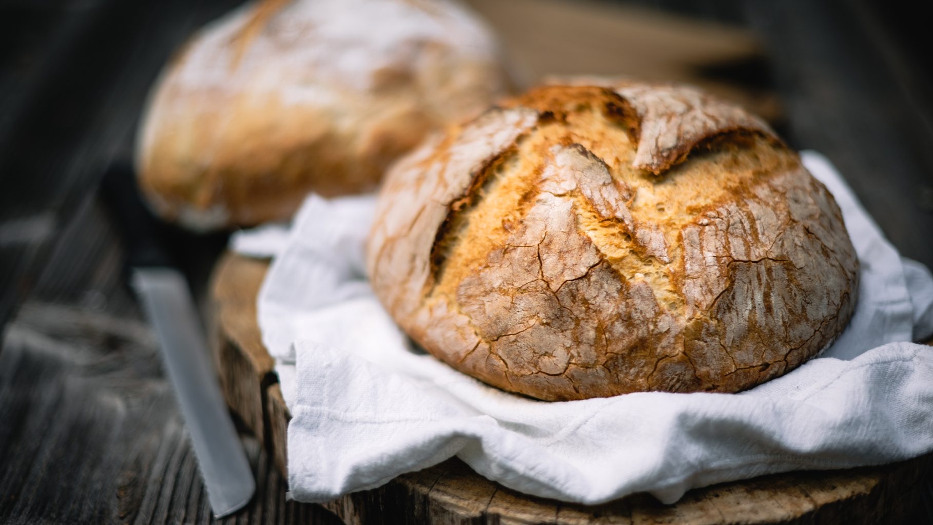 Why no two sourdoughs are exactly the same | Popular Science