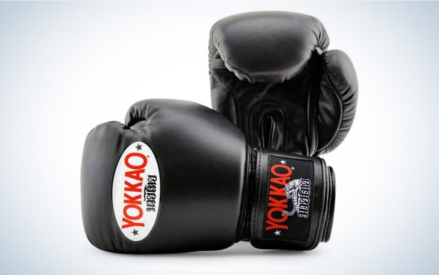 The best boxing gloves, according to experts | Popular Science