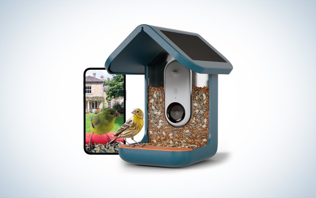 The best bird feeder cameras | Popular Science