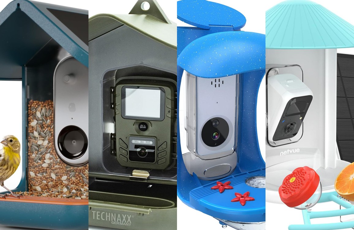The best bird feeder cameras | Popular Science
