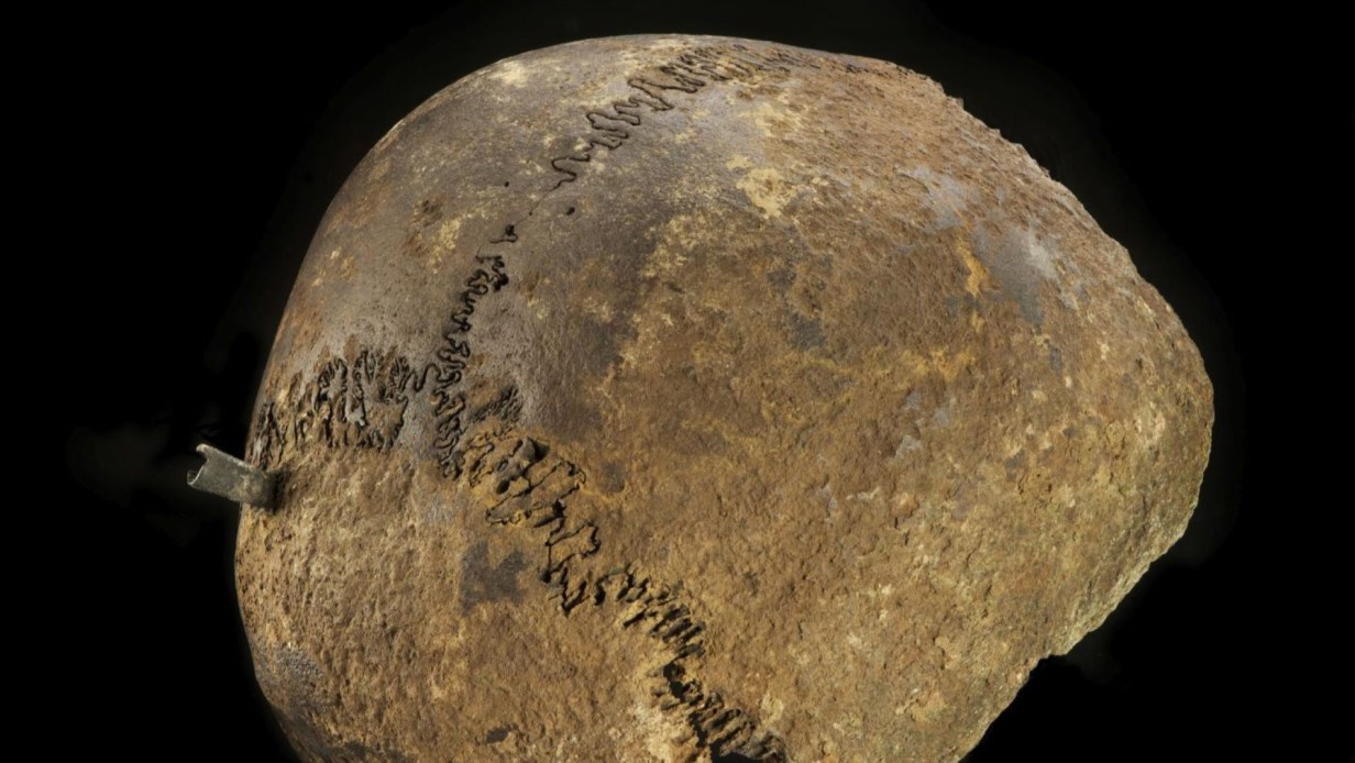 Are humans more violent than ever? | Popular Science