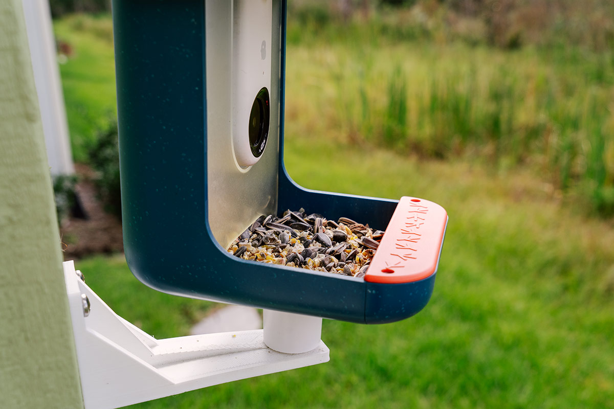Bird Buddy Smart Bird Feeder review: A camera that's not just for the ...