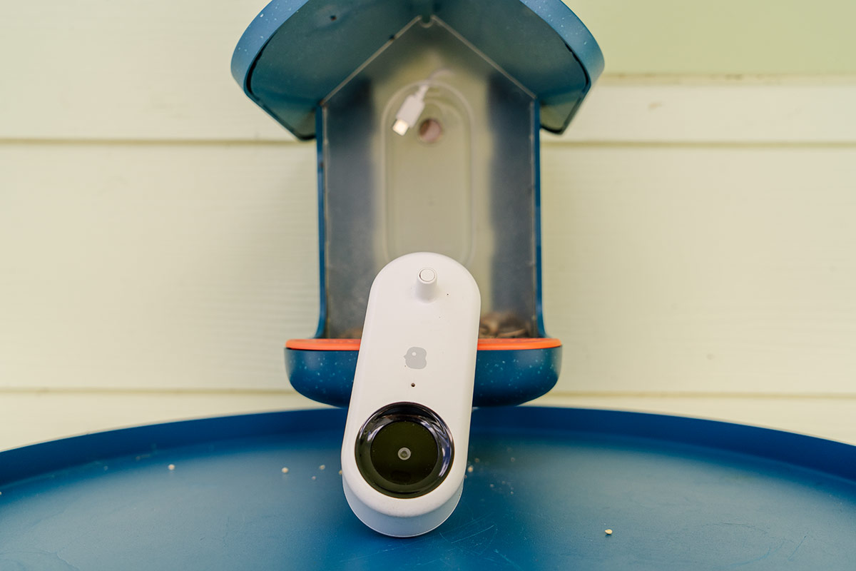Bird Buddy Smart Bird Feeder review: A camera that's not just for the ...