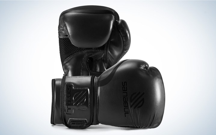 The best boxing gloves, according to experts | Popular Science
