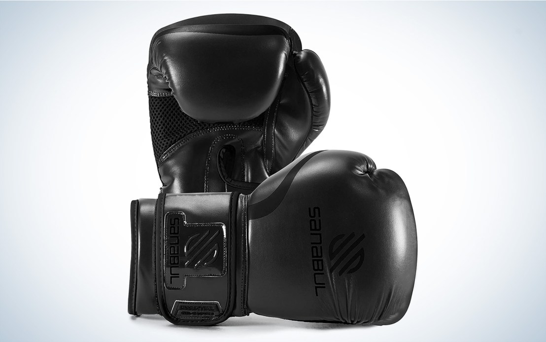 The best boxing gloves in 2024, according to experts | Popular Science