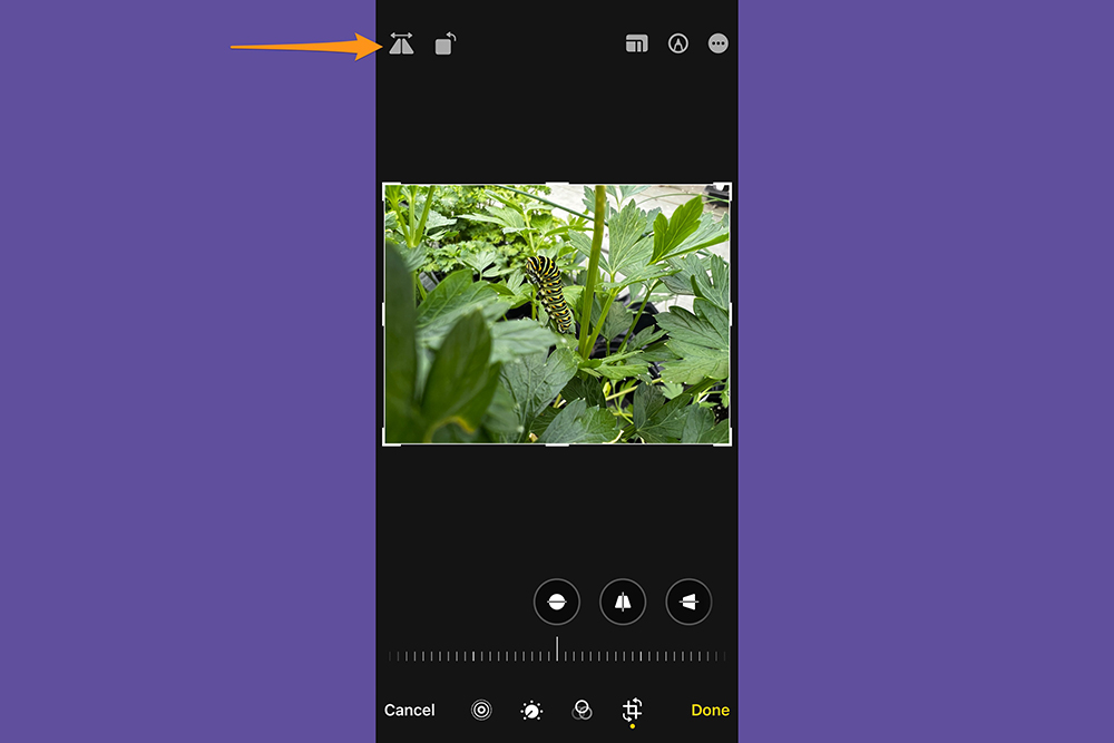How to edit photos on iPhone | Popular Science