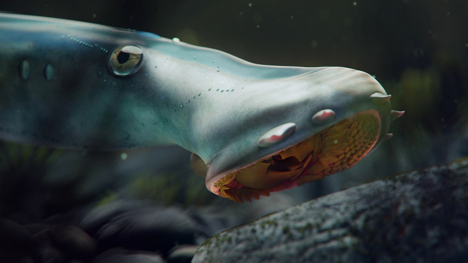 Giant prehistoric lamprey likely sucked blood—and ate flesh | Popular ...