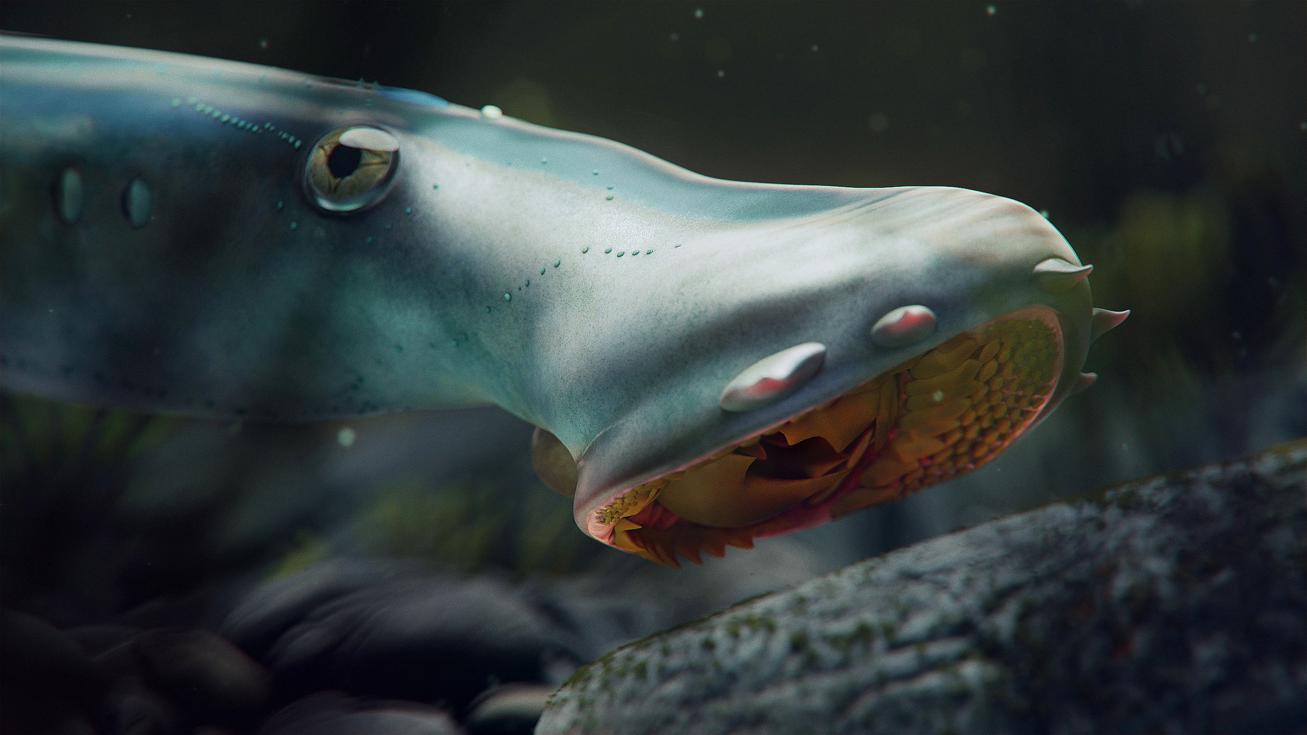 Giant prehistoric lamprey likely sucked blood—and ate flesh | Popular ...