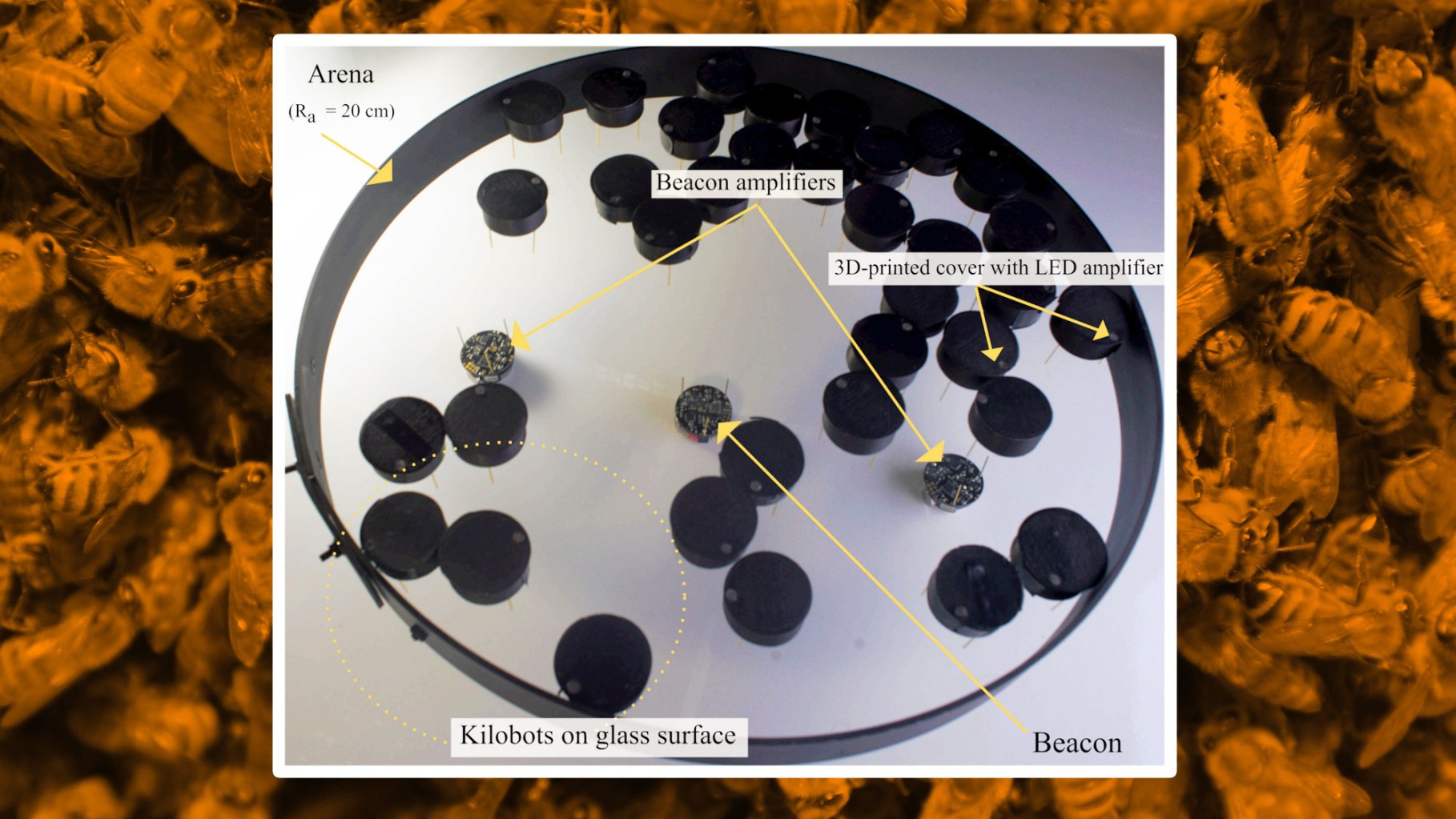 These robots reached a team consensus like a swarm of bees | Popular ...