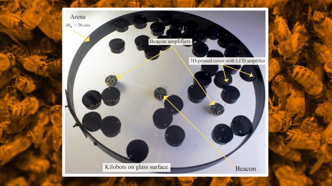 These robots reached a team consensus like a swarm of bees | Popular ...