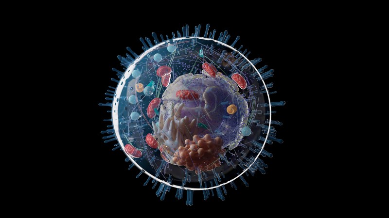 How did our cells get their other complex parts? | Popular Science