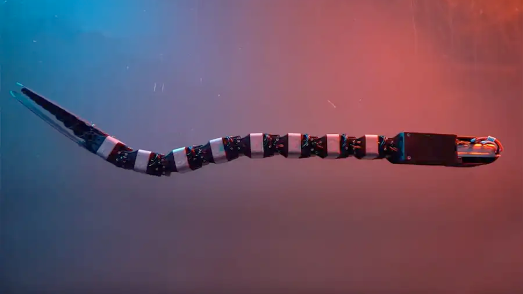 Watch this eel robot glide underwater | Popular Science