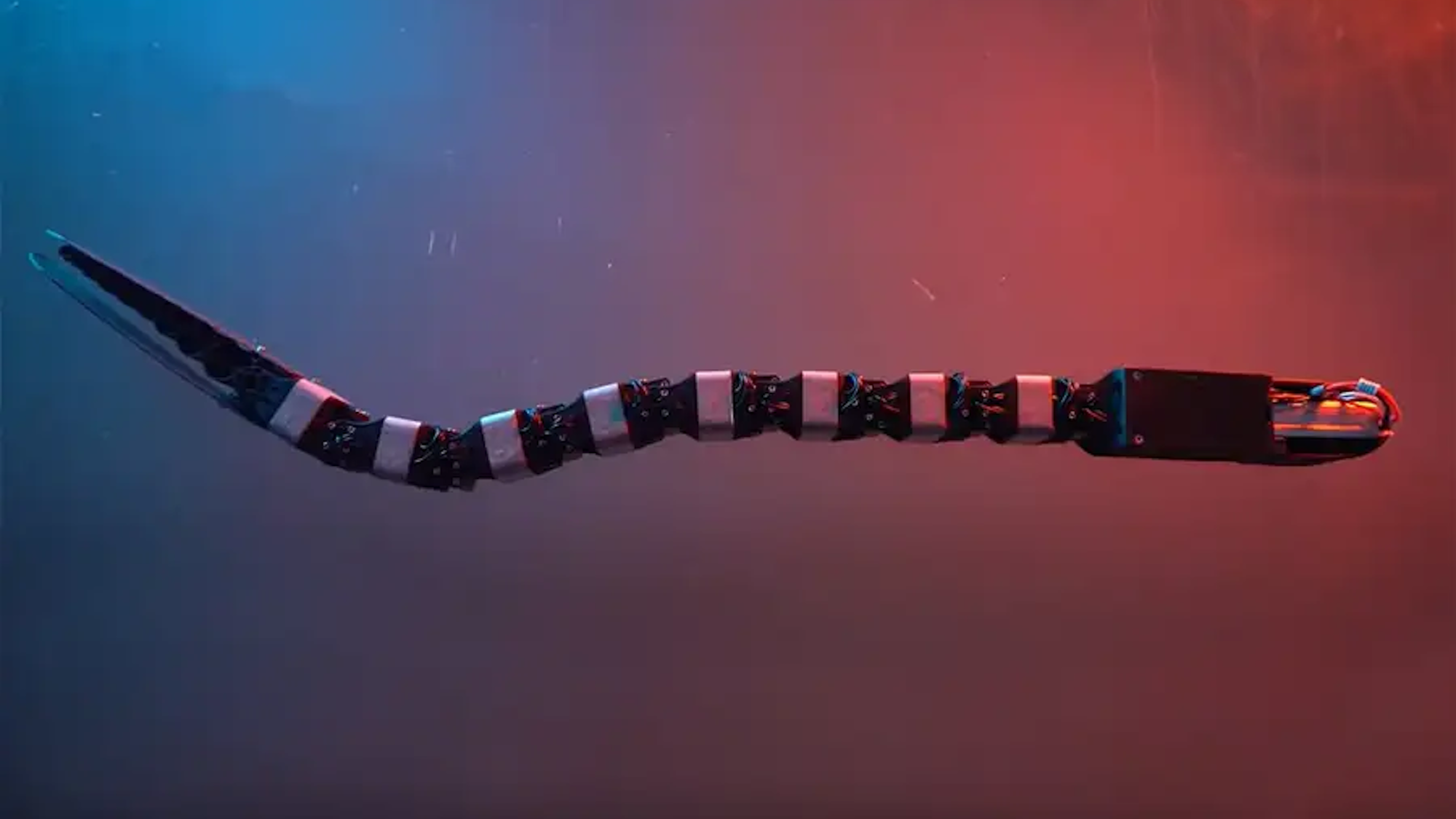 Watch this eel robot glide underwater | Popular Science