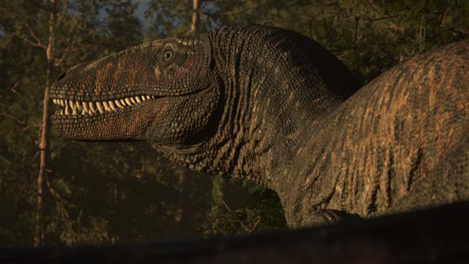Tracing the crocodiles' curious evolutionary family tree | Popular Science