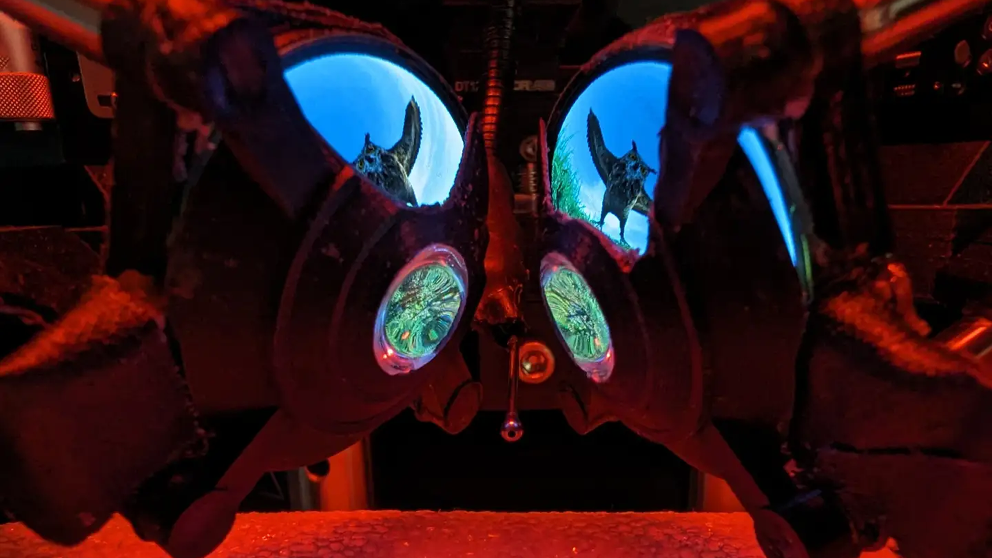 Even lab mice are getting VR headsets now | Popular Science