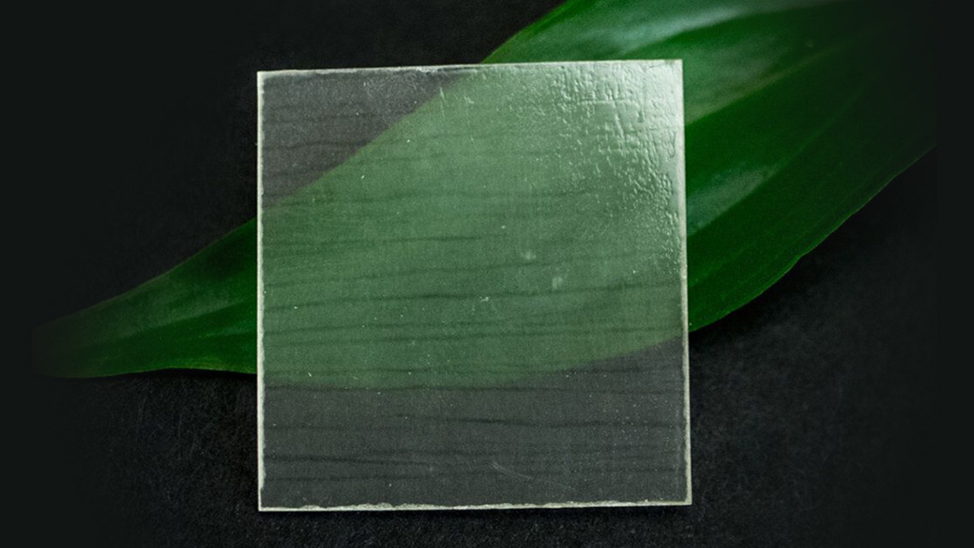 Why scientists are making transparent wood | Popular Science