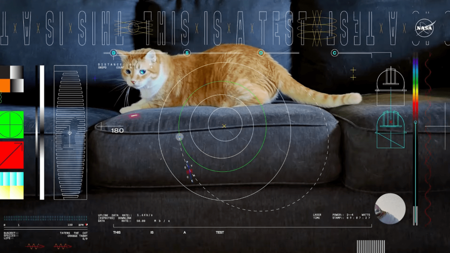 Taters the cat stars in first 'ultra-HD' video sent from deep space ...