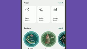 How to set goals and track your progress on your Fitbit wearable device ...
