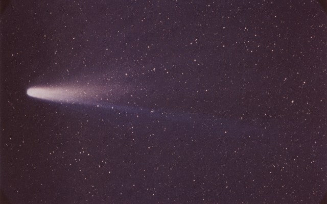 Halley's comet is on its way back towards Earth | Popular Science