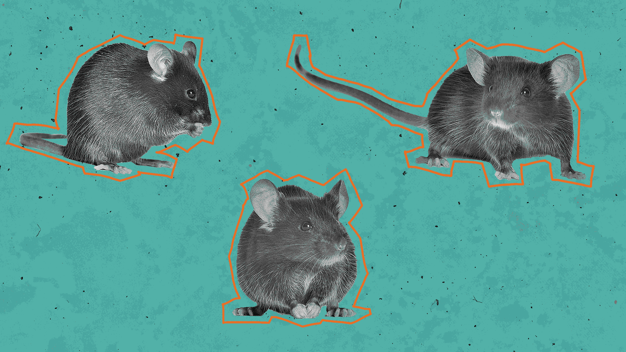 How AI, gaming gear, and neuroscience are giving us a different ...
