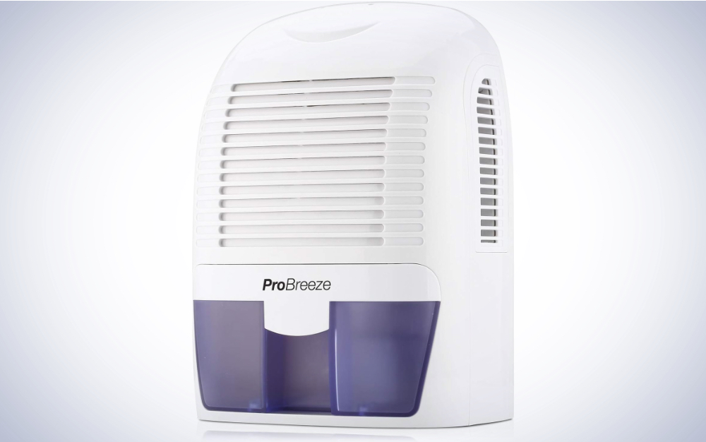 The best small dehumidifiers | Popular Science