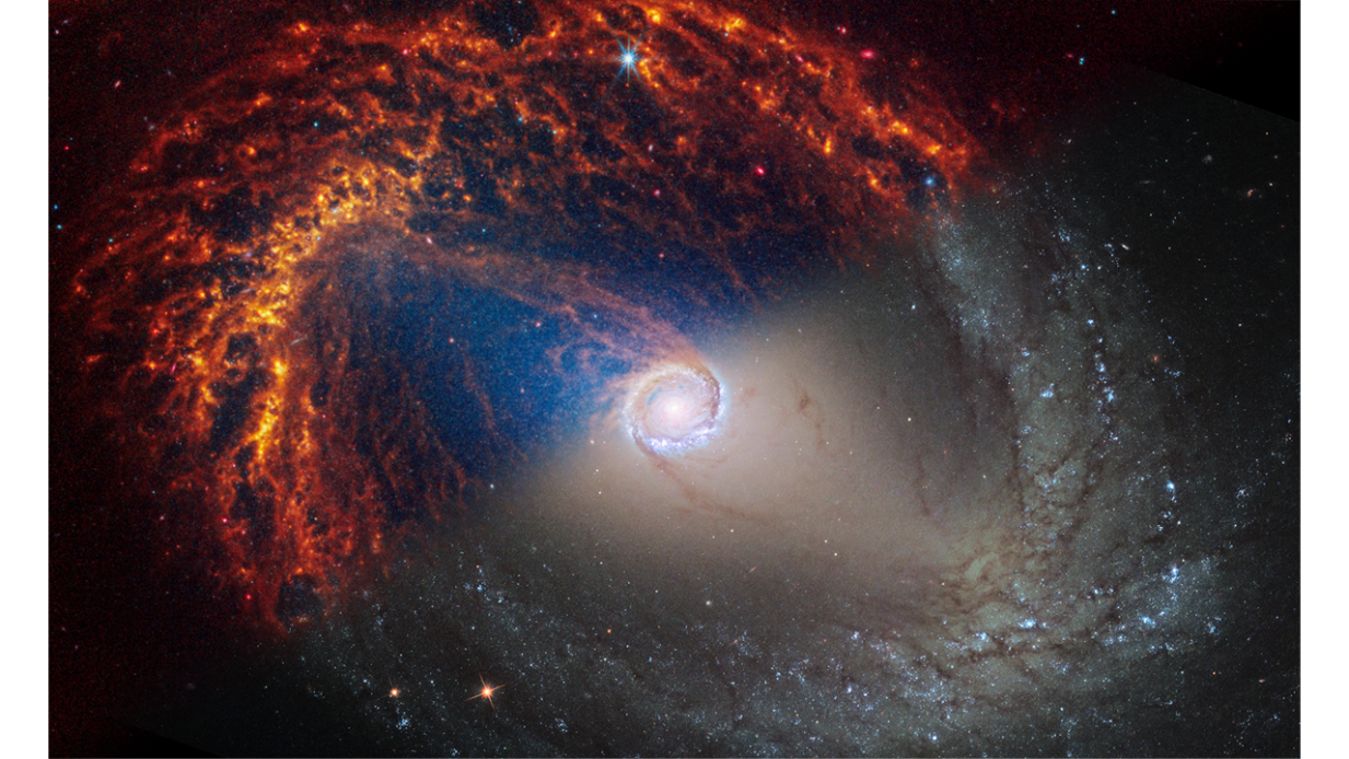 JWST images show off the swirling arms of 19 spiral galaxies | Popular ...