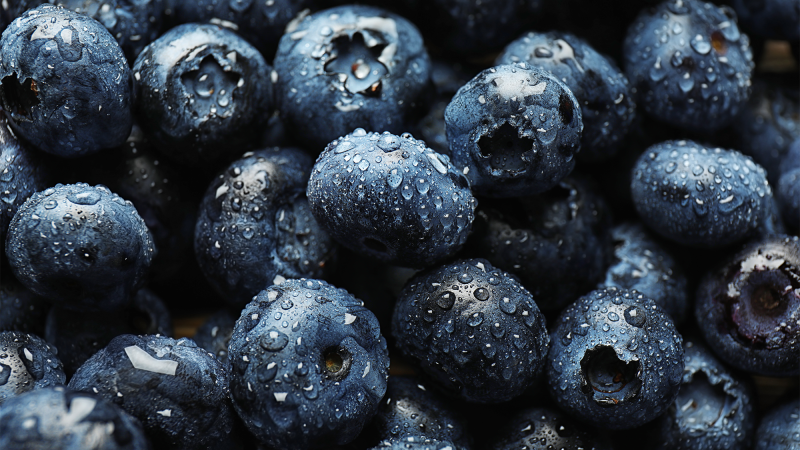 Why blueberries aren't technically blue | Popular Science