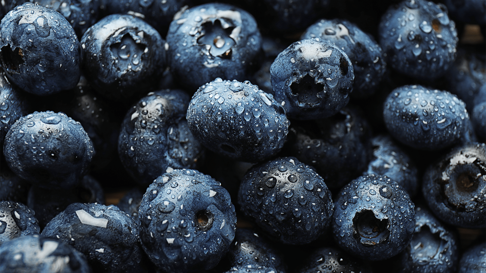 Why blueberries aren't technically blue | Popular Science