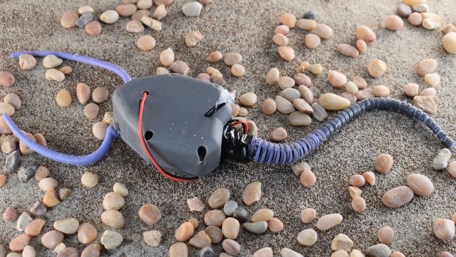 A sea creature extinct for half a billion years inspired a new soft ...