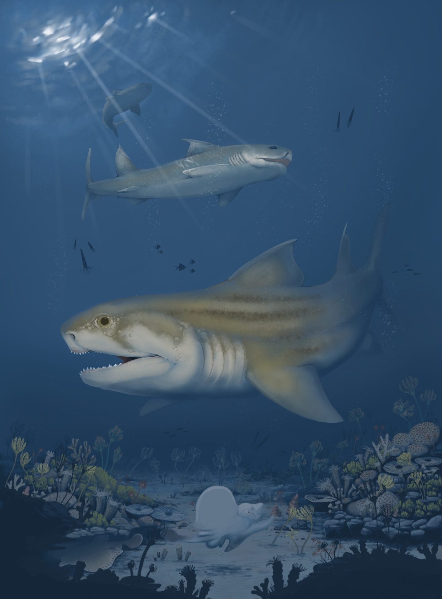 Three new ancient shark species discovered in Alabama and Kentucky ...