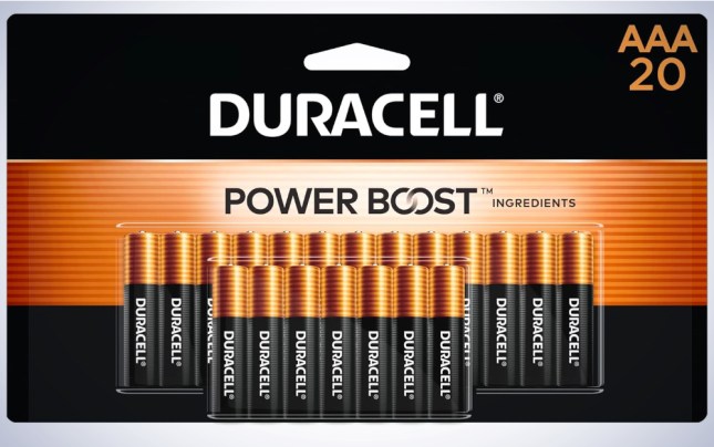 The best AAA batteries | Popular Science