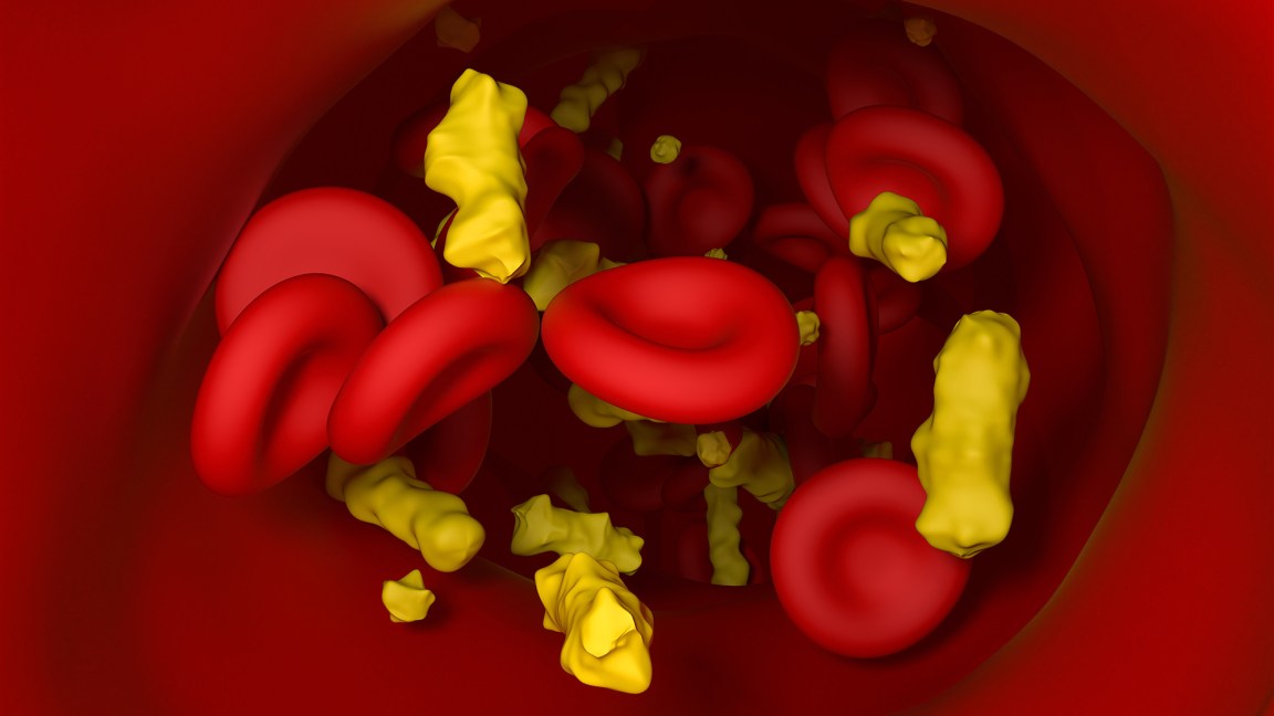 Everything you need to know about cholesterol | Popular Science