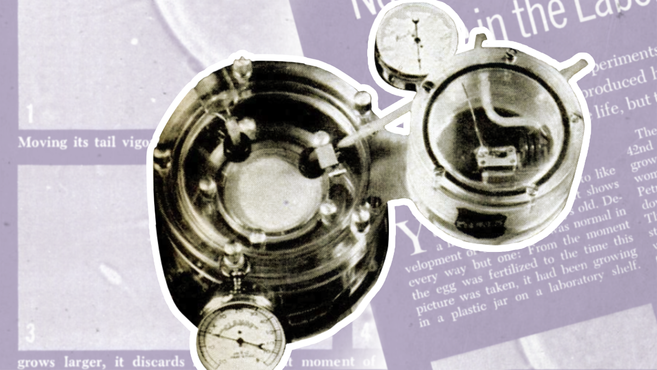 The decades-long quest for lab-grown organs | Popular Science