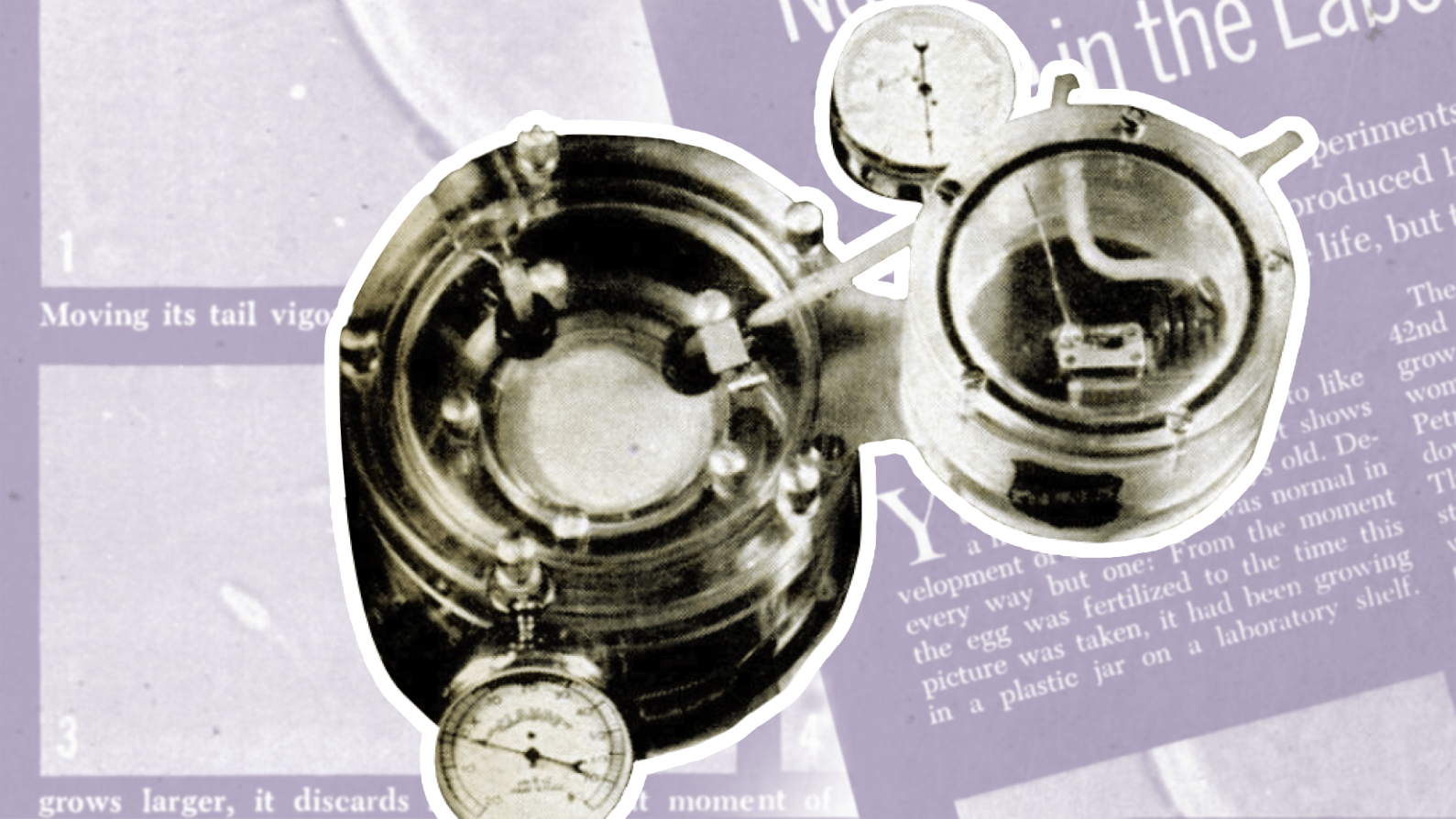 The decades-long quest for lab-grown organs | Popular Science